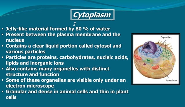 ppt from cell to organisms | PPTX