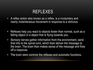 Video gamers and hand eye coordination | PPTX