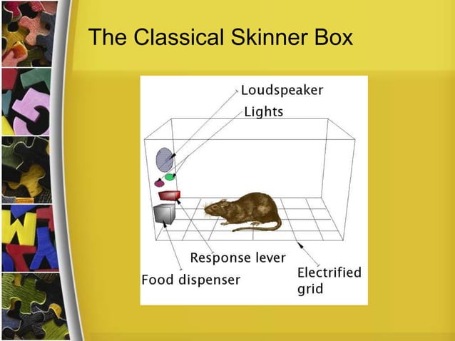 Video Games And Operant Conditioning | PPTX