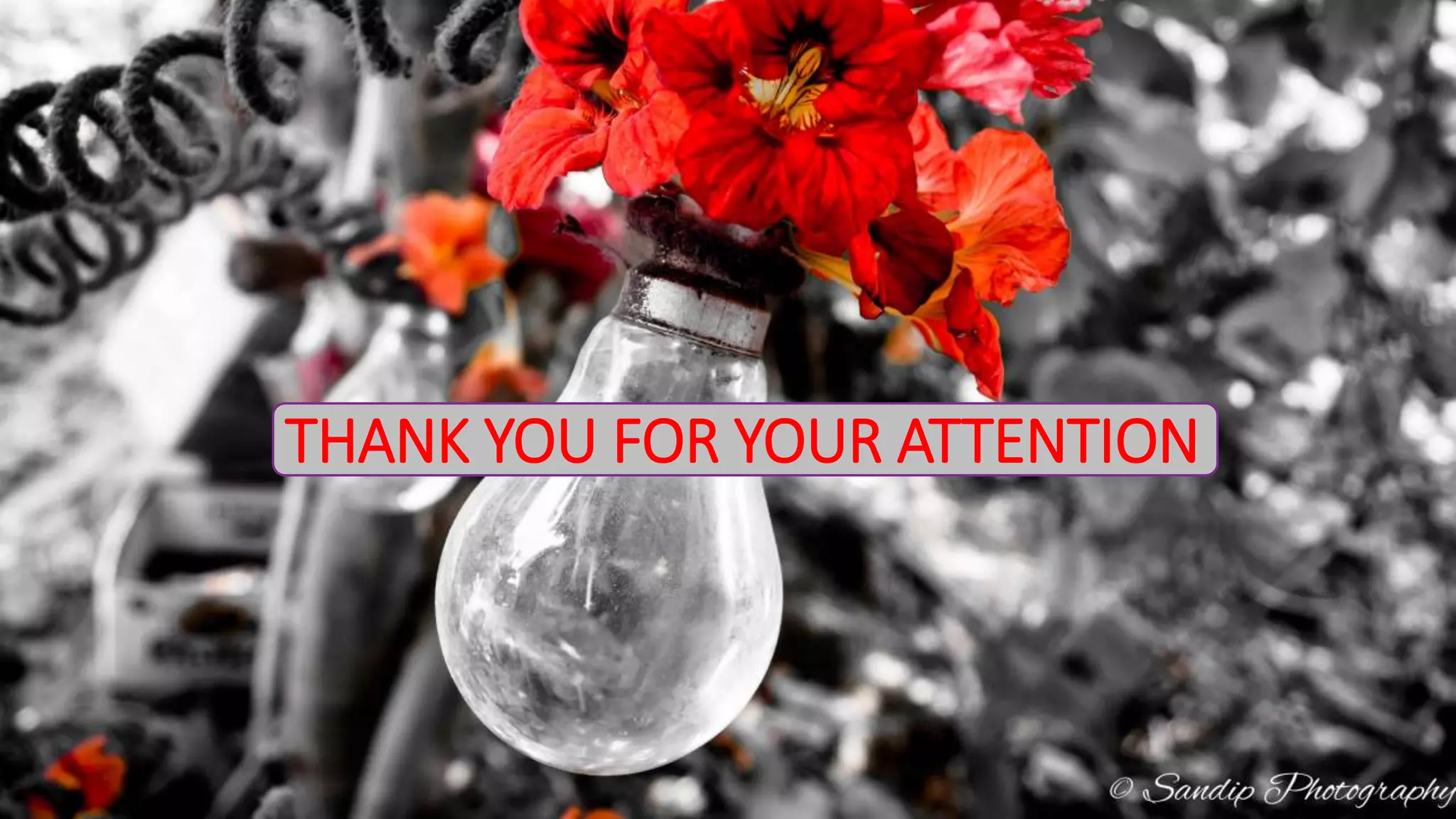 Video games using live organism and its ethical Issue | PPT