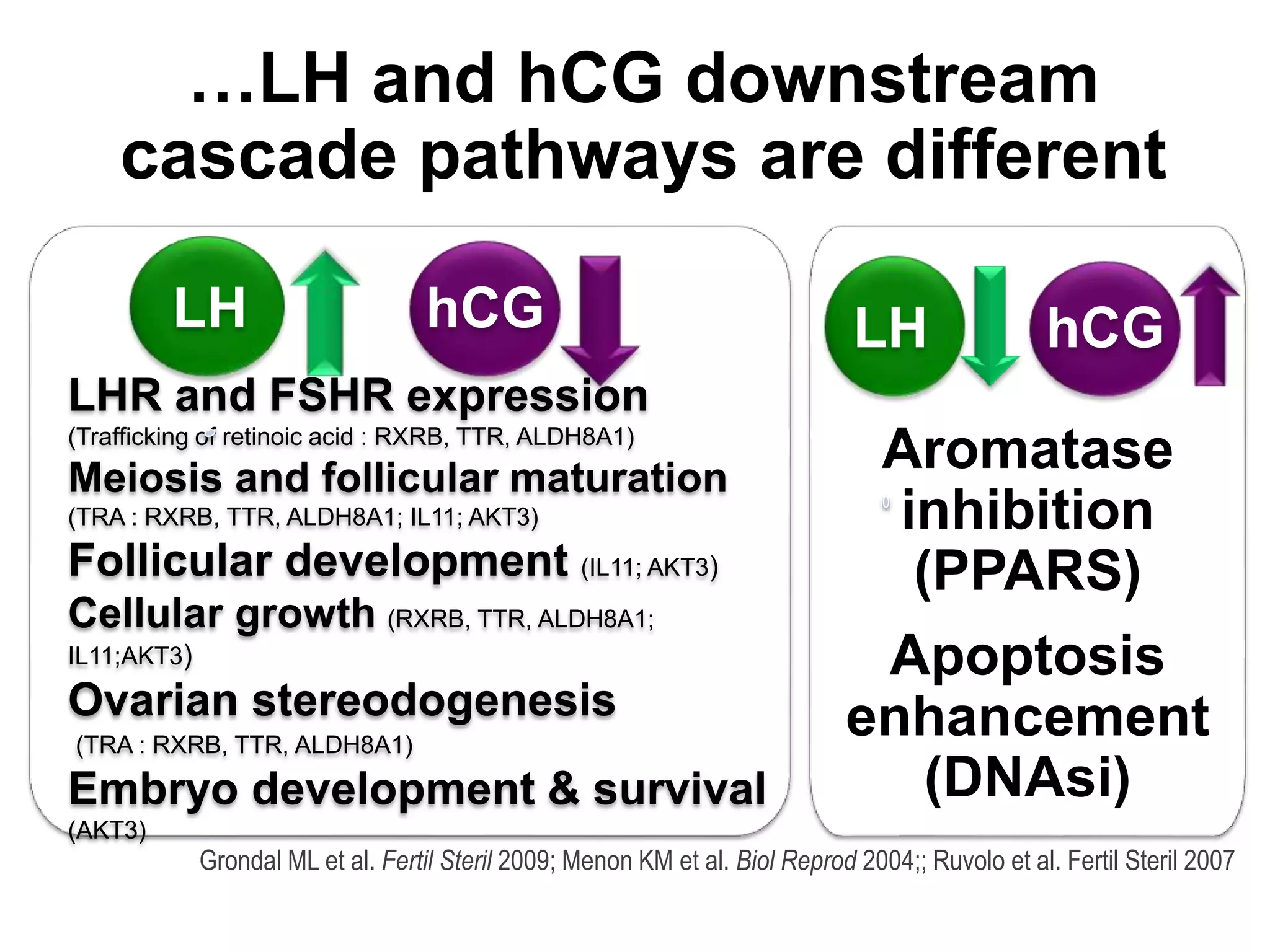 LH in Human Reproduction (Updated) | PPTX