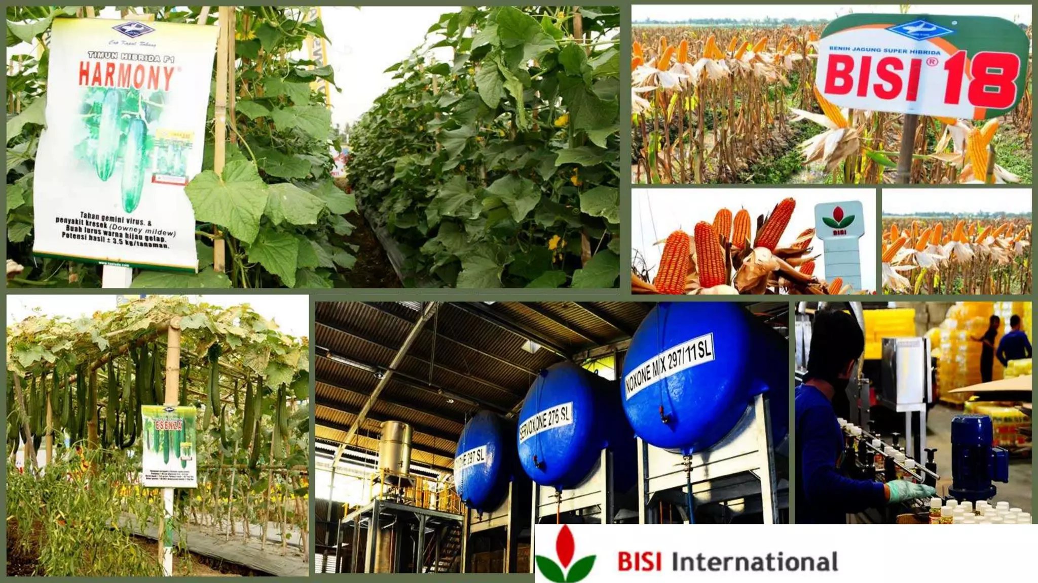 Analisis Manajemen Strategi PT Bisi International | PPTX