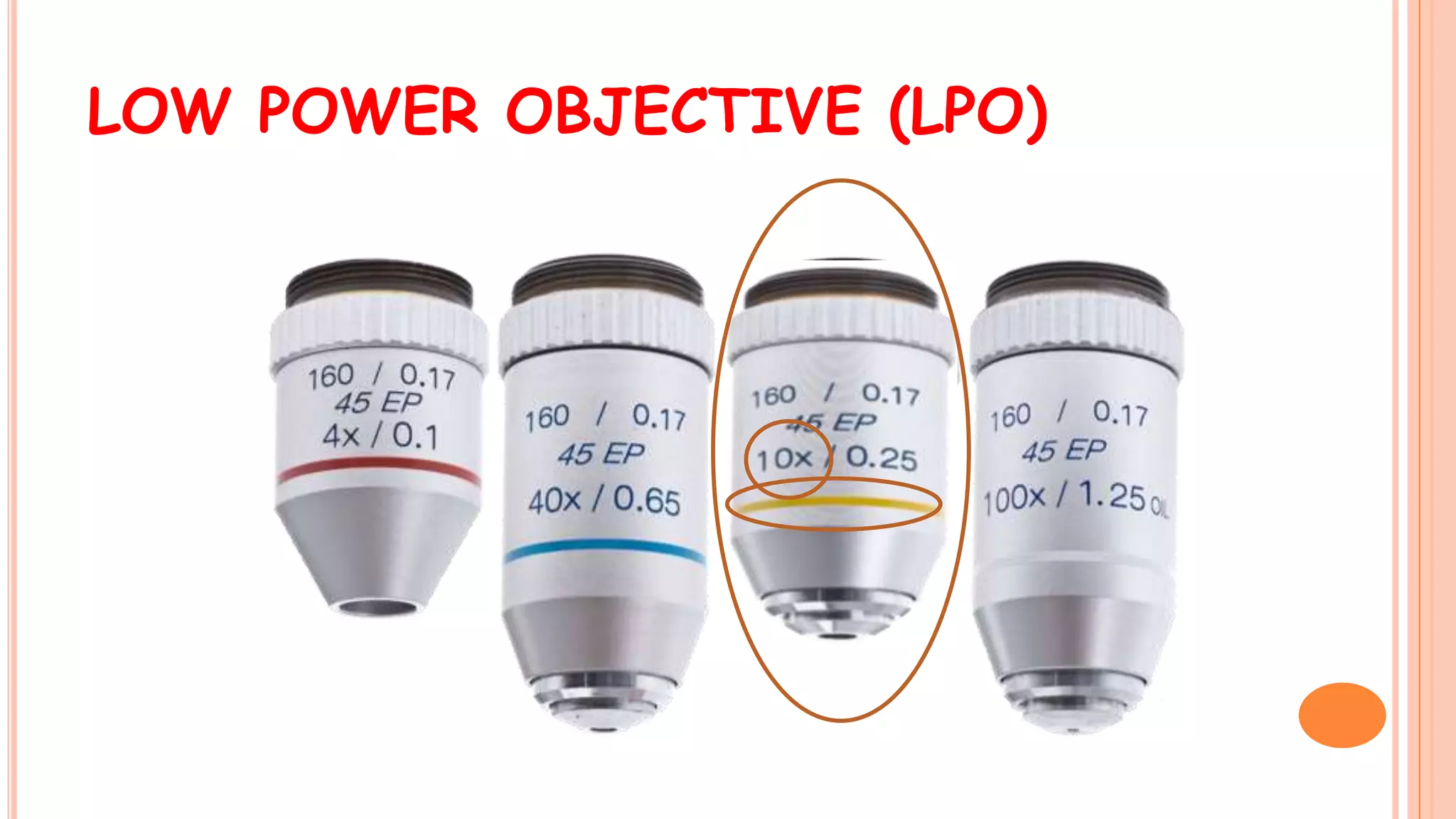 Parts and Functions of the Compound Microscope | PPTX