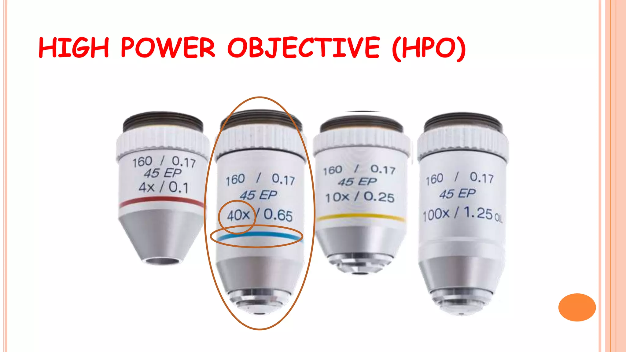 Parts and Functions of the Compound Microscope | PPTX