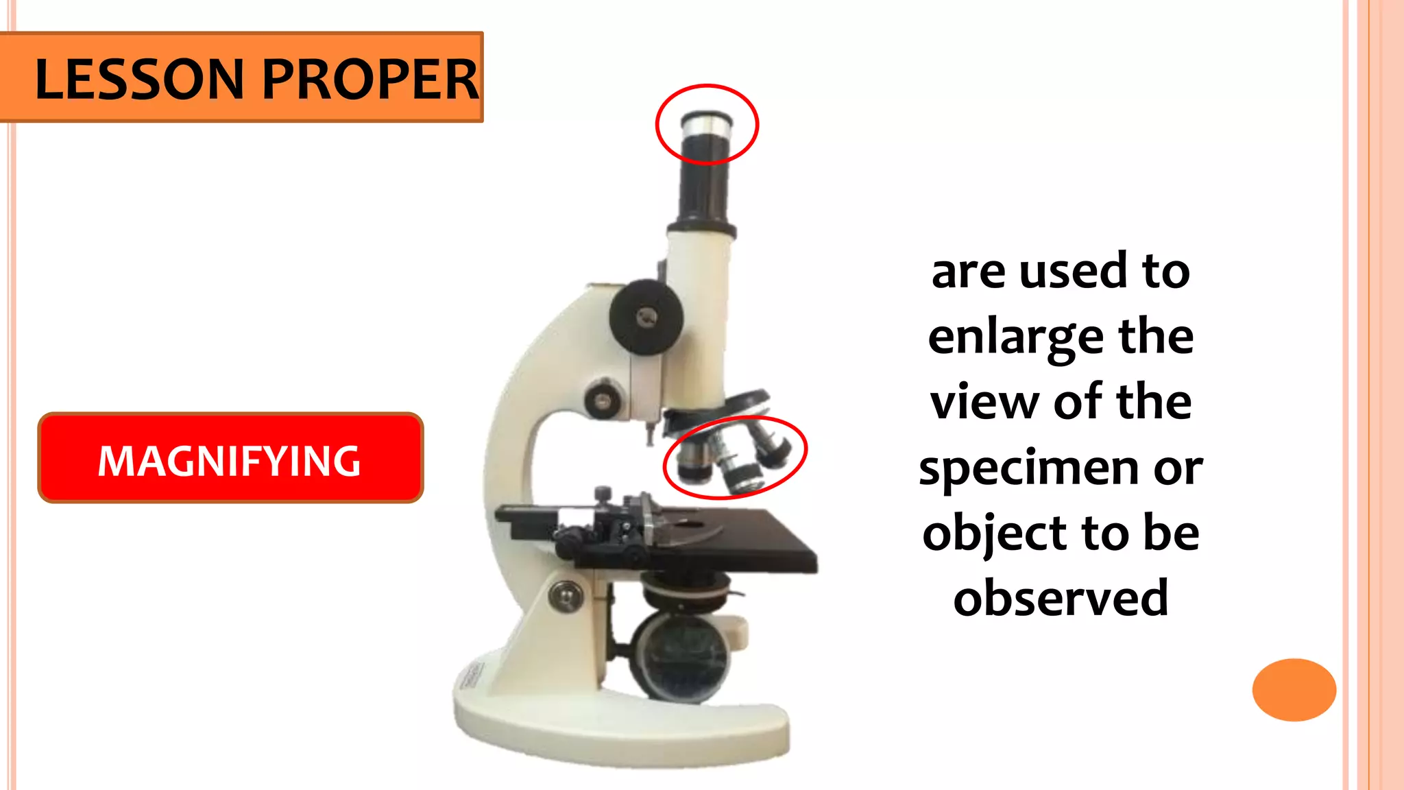 Parts and Functions of the Compound Microscope | PPTX