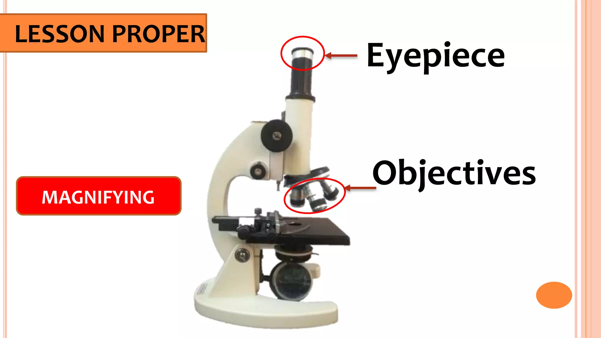 Parts and Functions of the Compound Microscope | PPTX