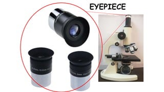 Parts and Functions of the Compound Microscope | PPTX