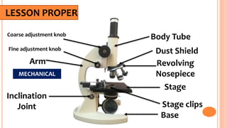 Compound Microscope Parts And Their Functions