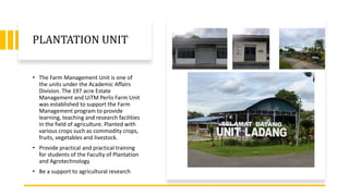 Video Presentation.pptx