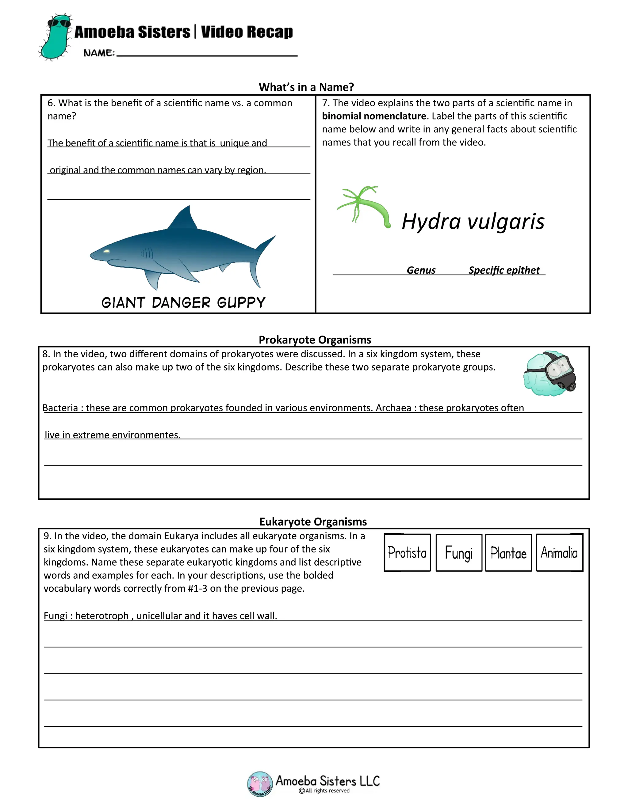 video_recap_of_classification_2222222.pdf