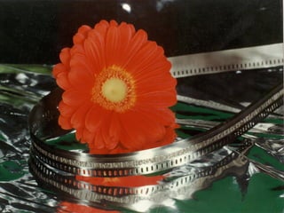 Videoton (Hungary) computer manufacturing (1970 1990) english version | PPT