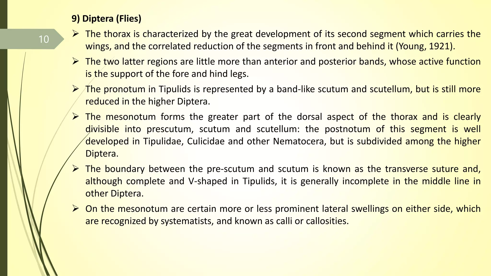Insect thorax : Its areas, structure, function and modification in ...