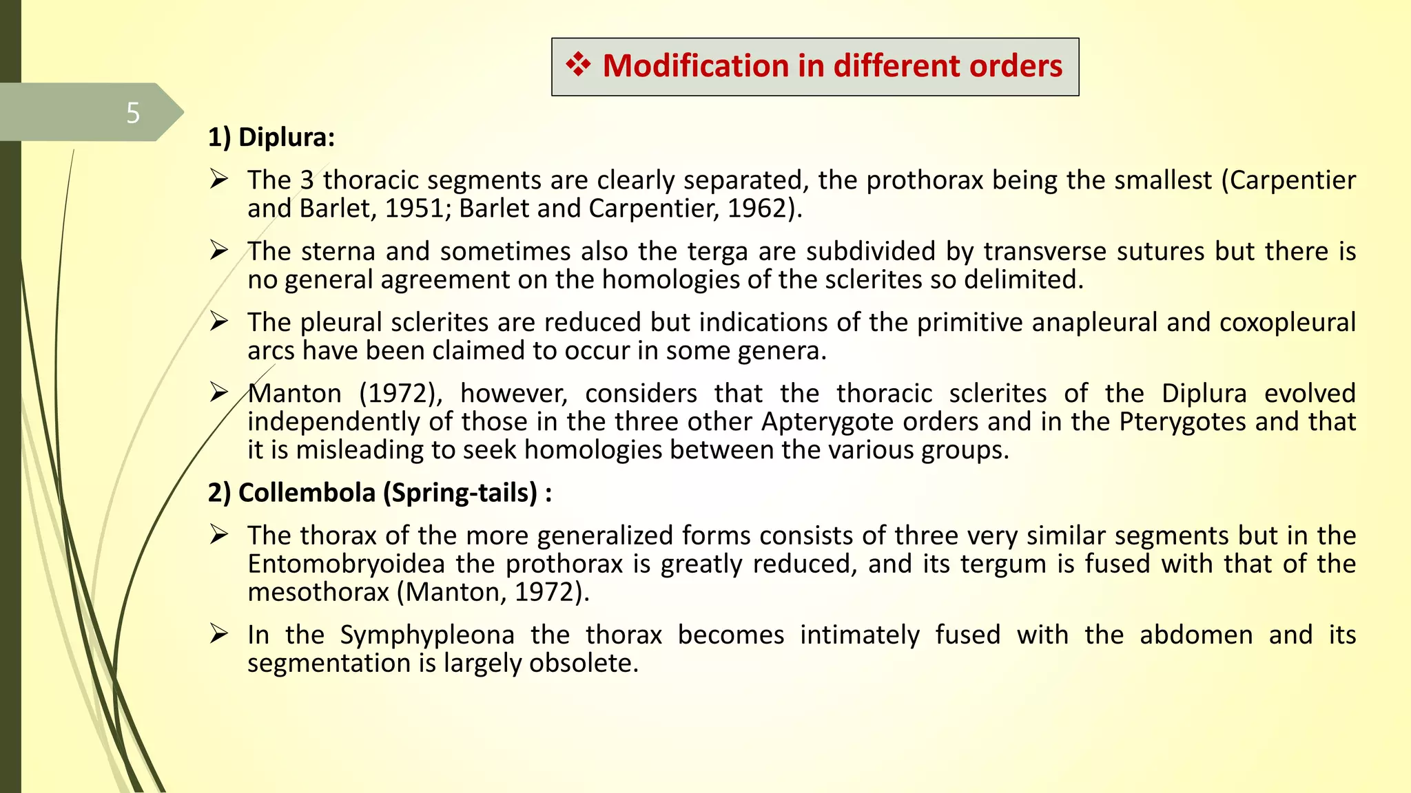 Insect thorax : Its areas, structure, function and modification in ...