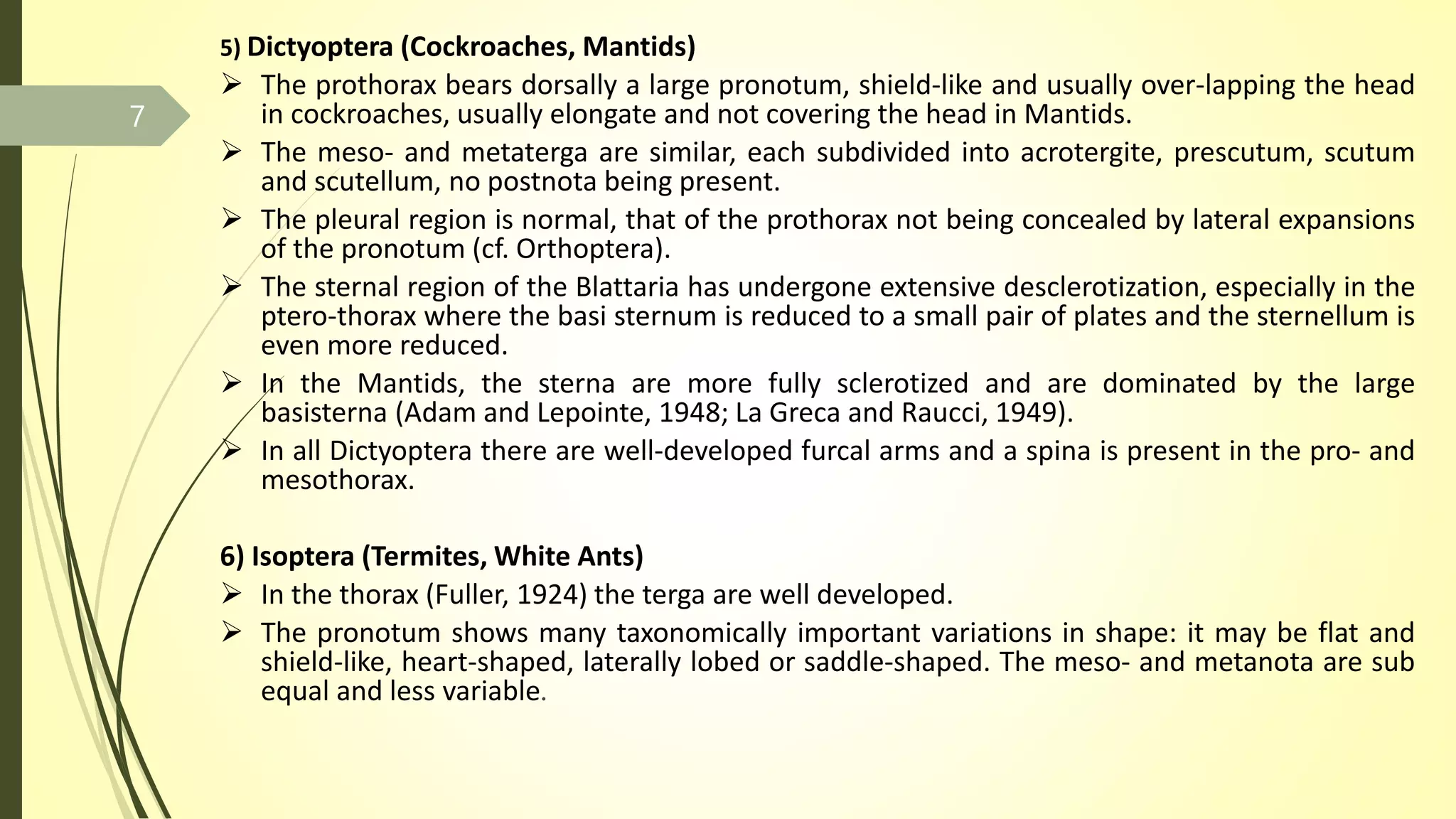 Insect thorax : Its areas, structure, function and modification in ...