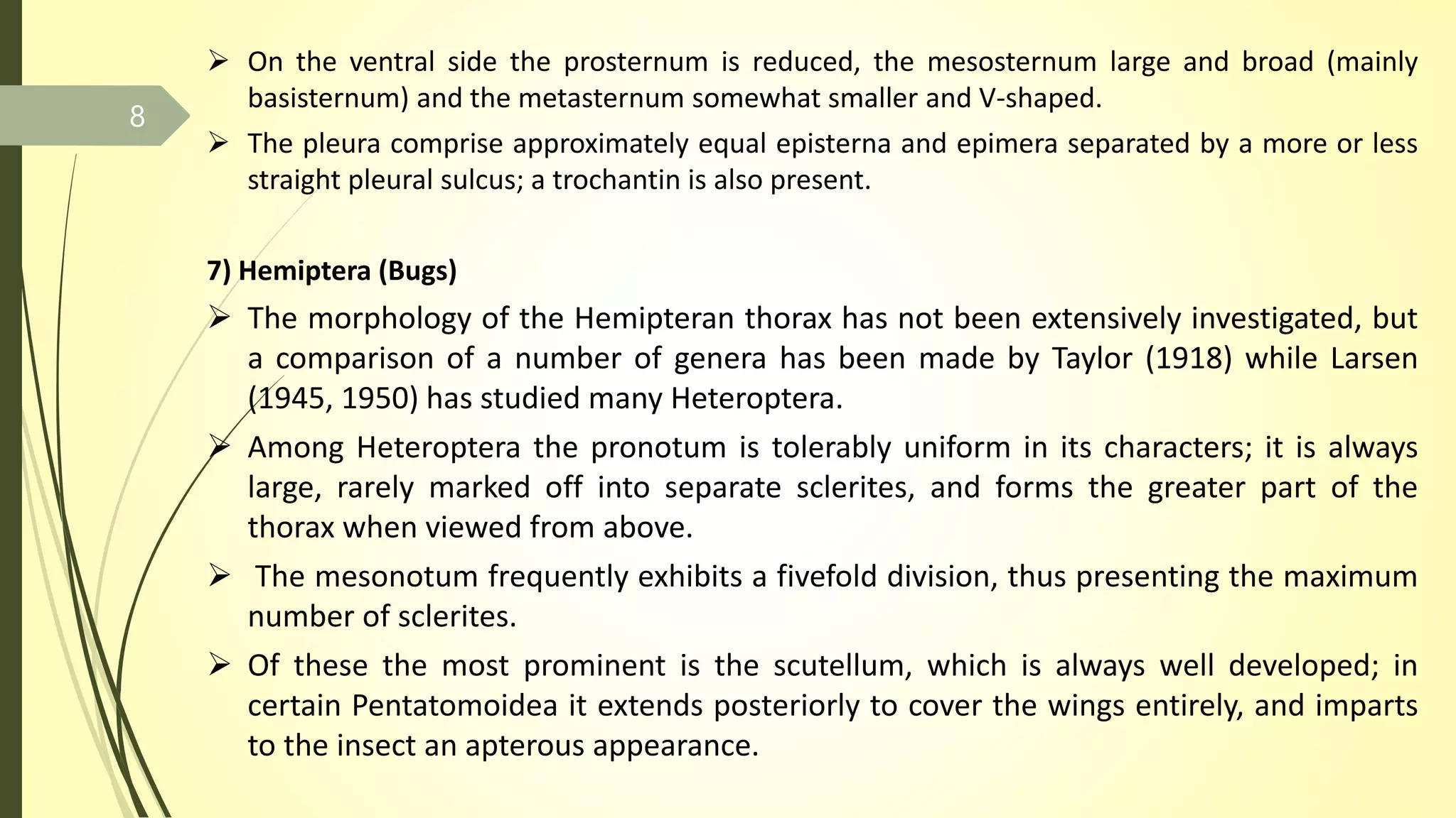 Insect thorax : Its areas, structure, function and modification in ...