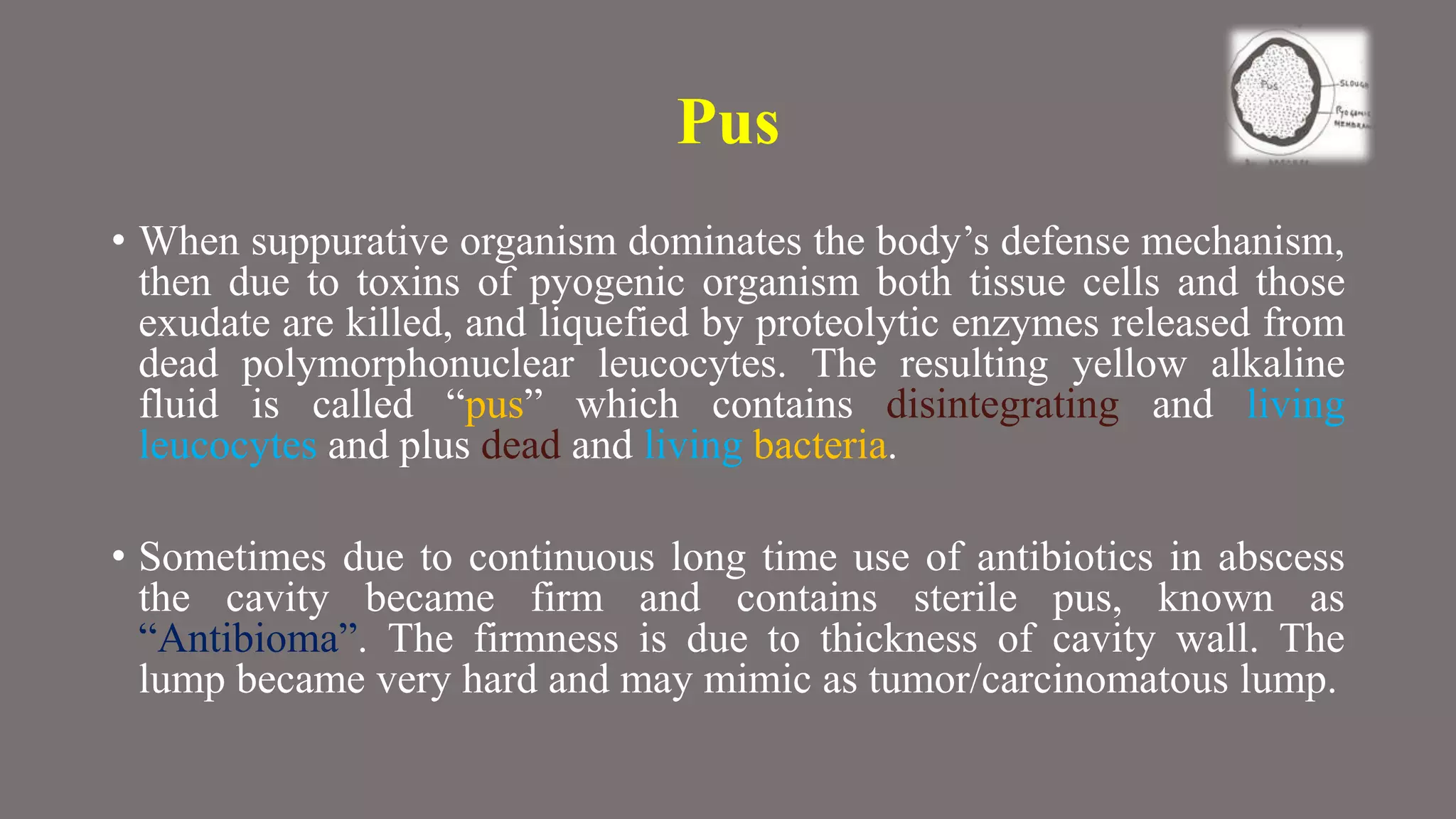 Vidradhi (Abscess) | PPTX