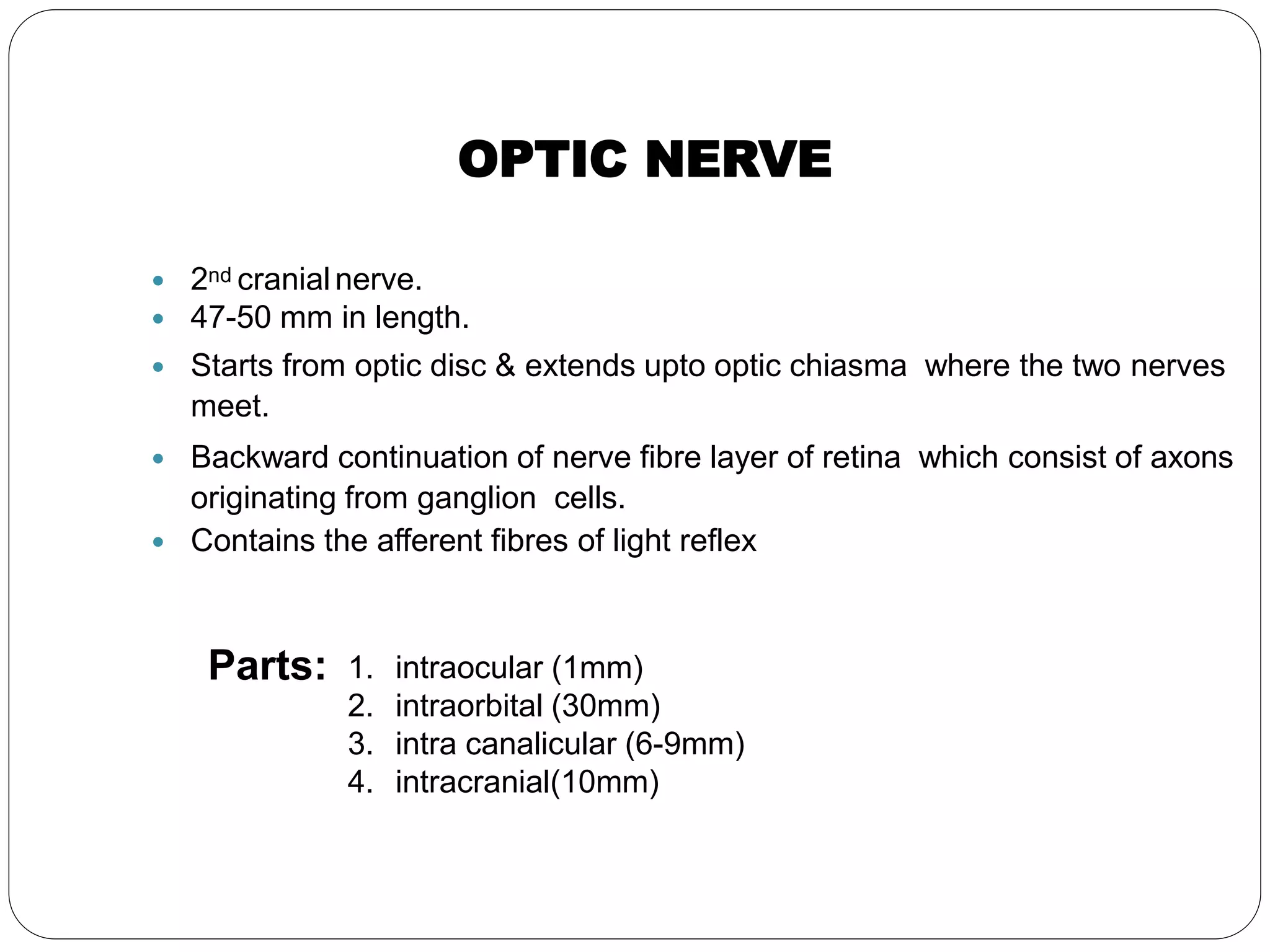 anatomy of visual pathway | PPTX
