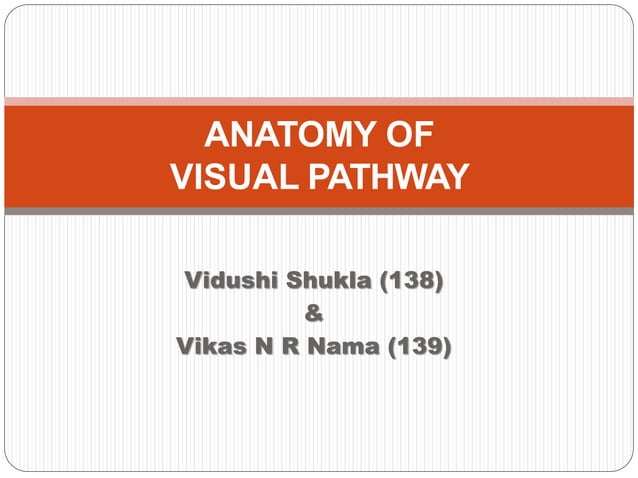anatomy of visual pathway | PPTX
