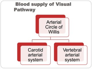 anatomy of visual pathway | PPTX