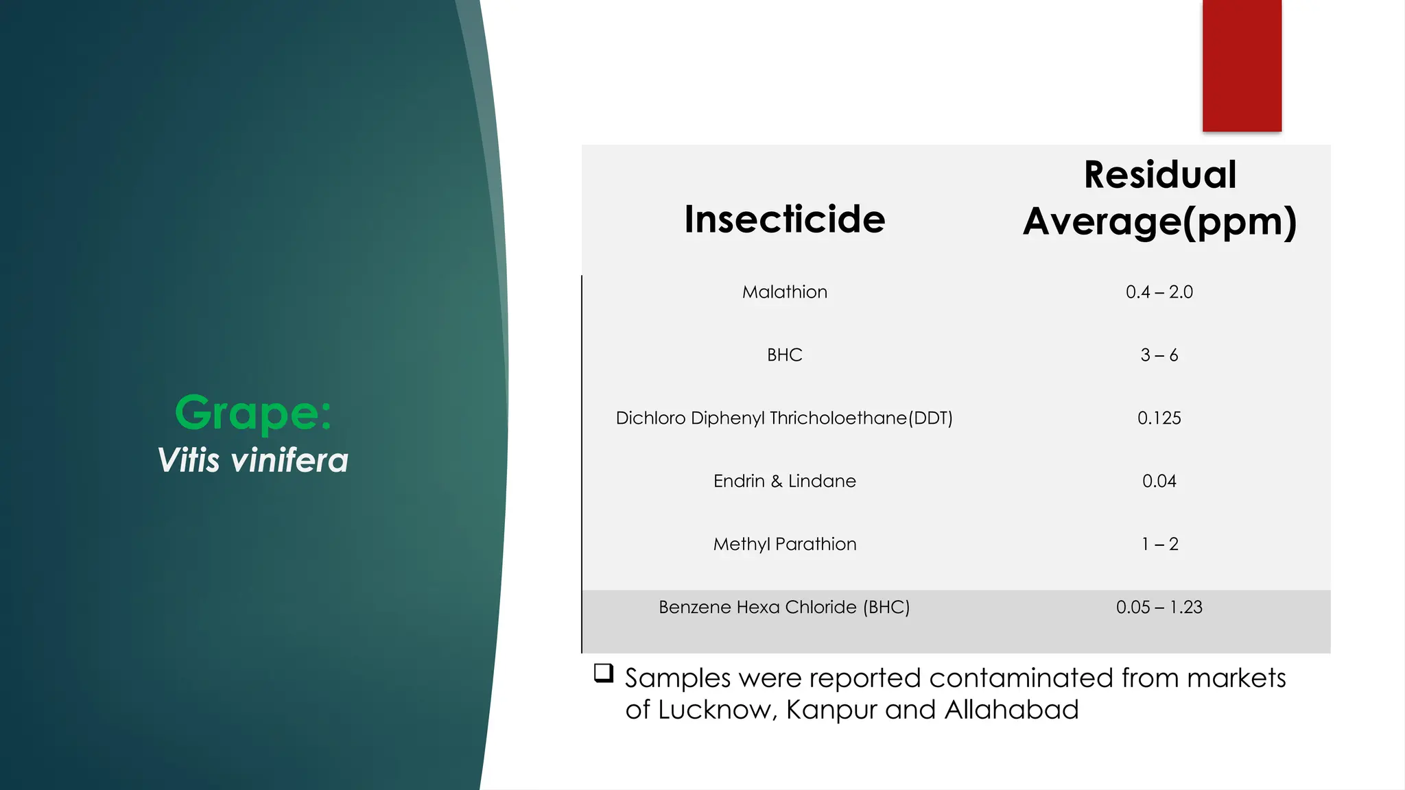 Insecticide Residue in Fruit Crops like mango and guava .pptx