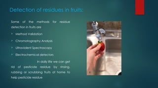 Insecticide Residue in Fruit Crops like mango and guava .pptx