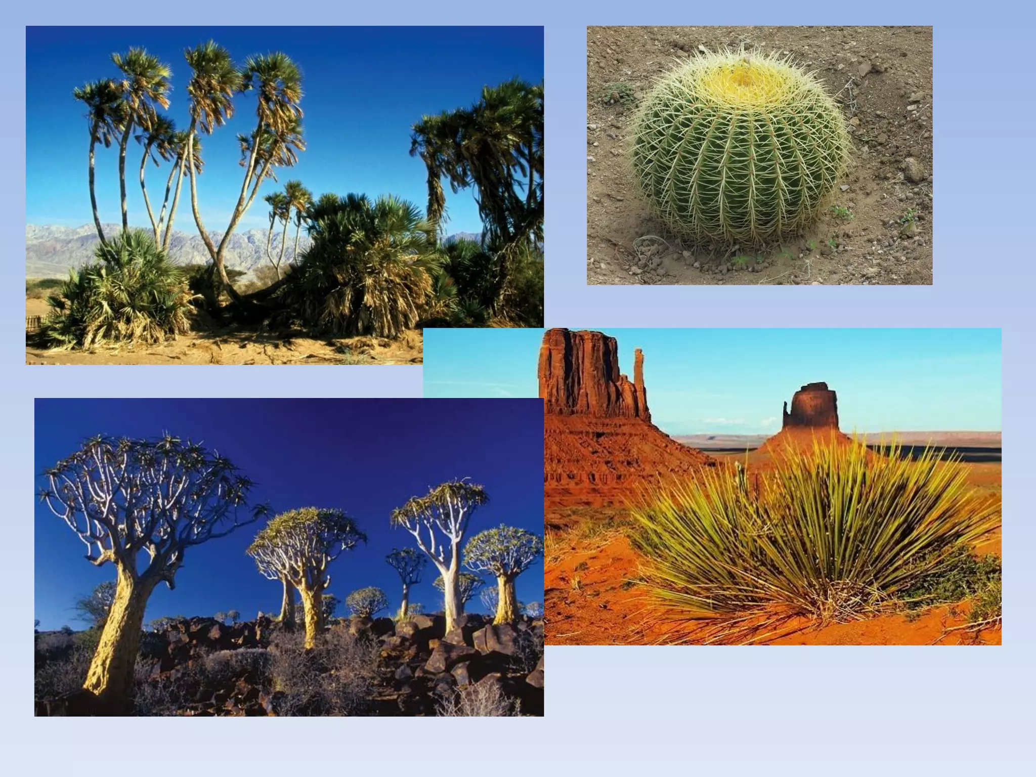 Climatic Regions : A Geographical Understanding | PPT
