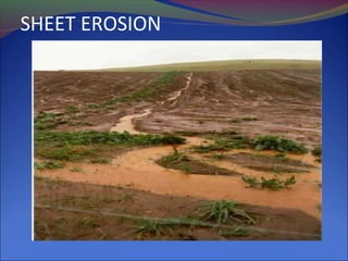 Vidya soil erosion | PPT