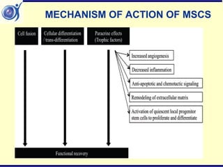 VieCell Biotech | PPT