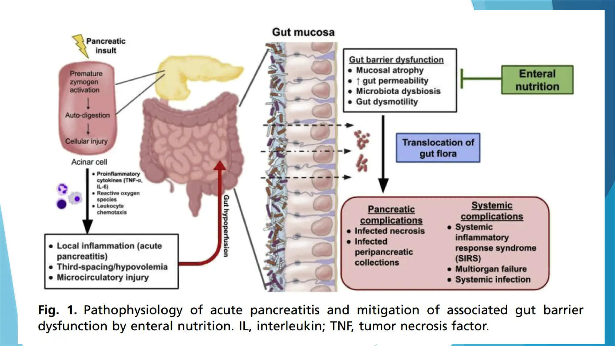 Viêm tụy cấp 2022 - C.pptxhghvhnjkkkkkk | PPT