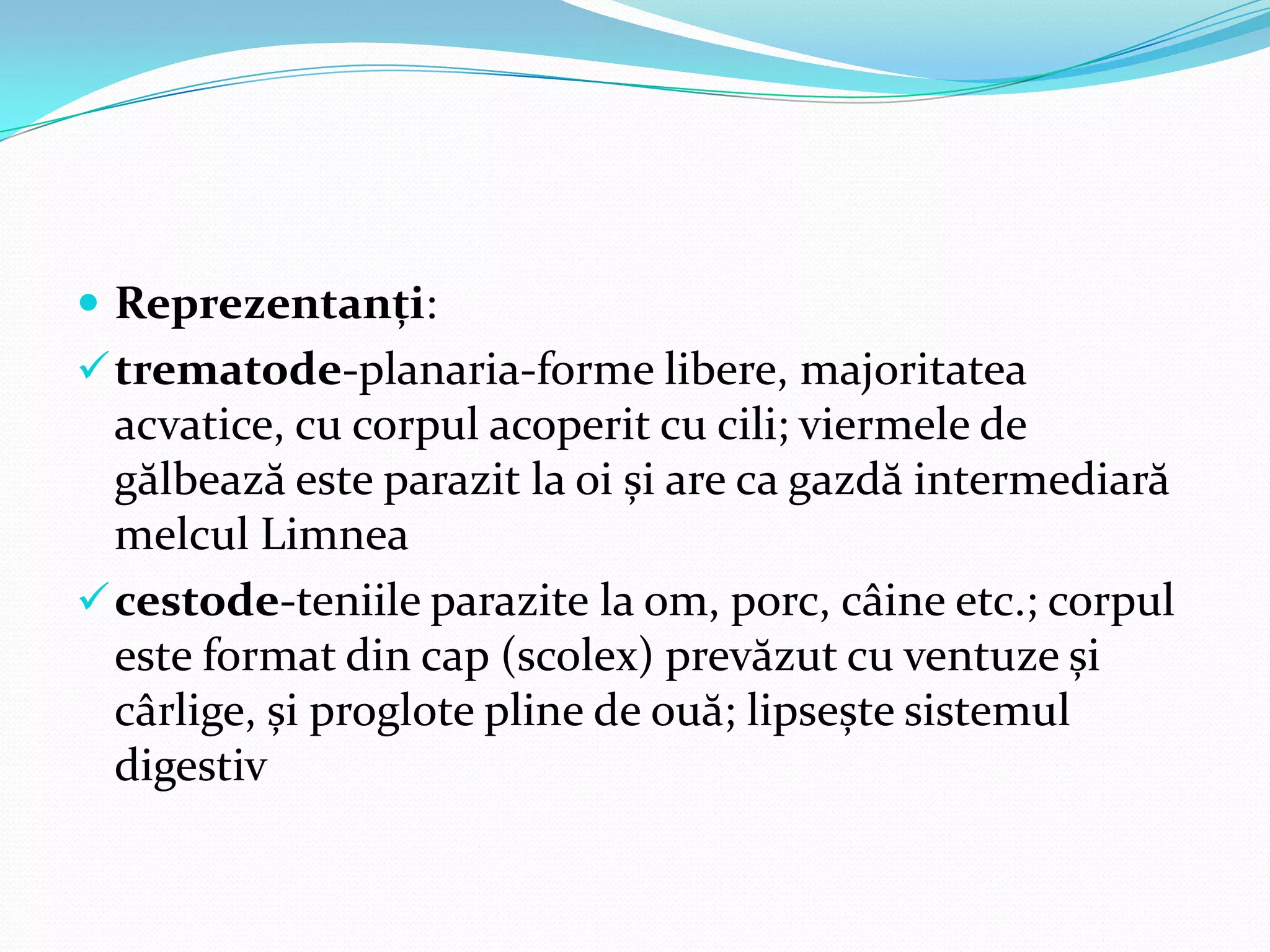 Viermii | PPTX