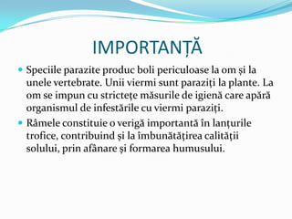 Viermii | PPTX