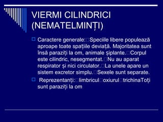 Viermii | PPT