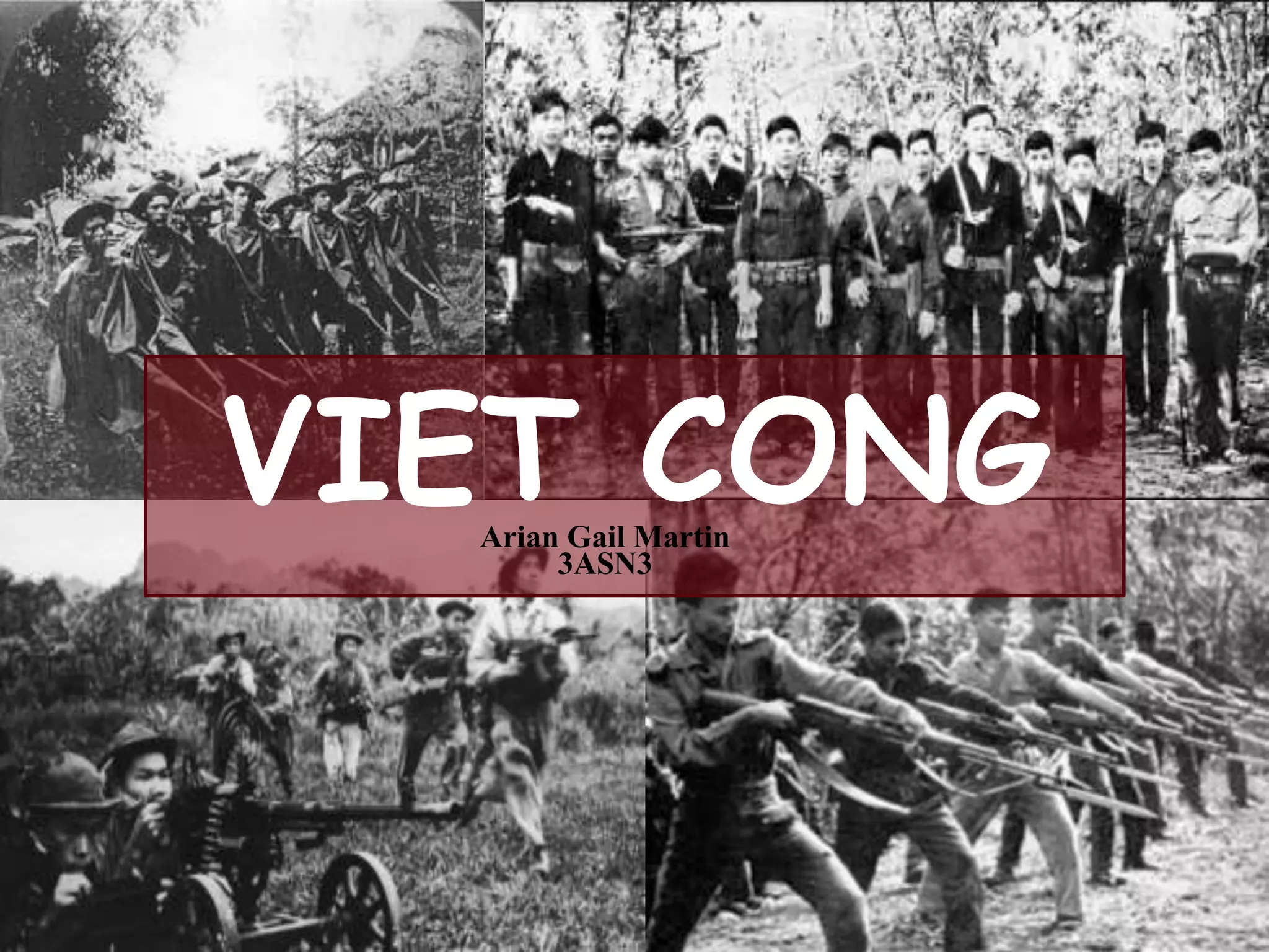 Viet Cong | PPTX