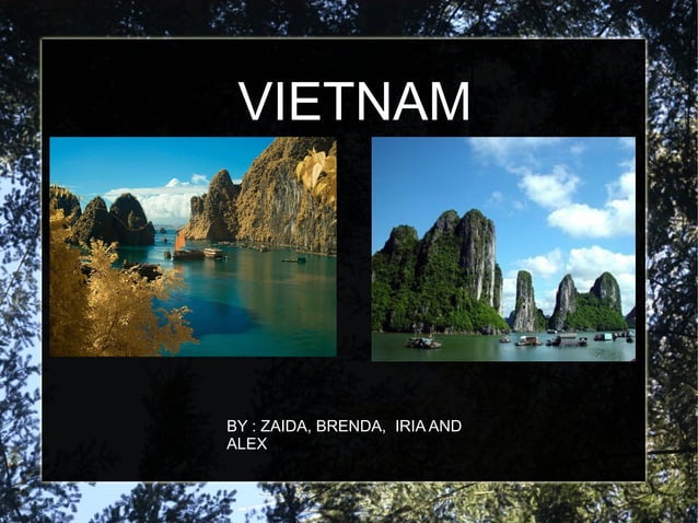 Vietnam | PPT