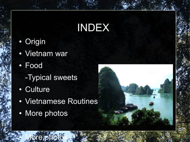 Vietnam | PPT