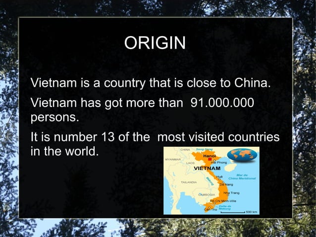 Vietnam | PPT