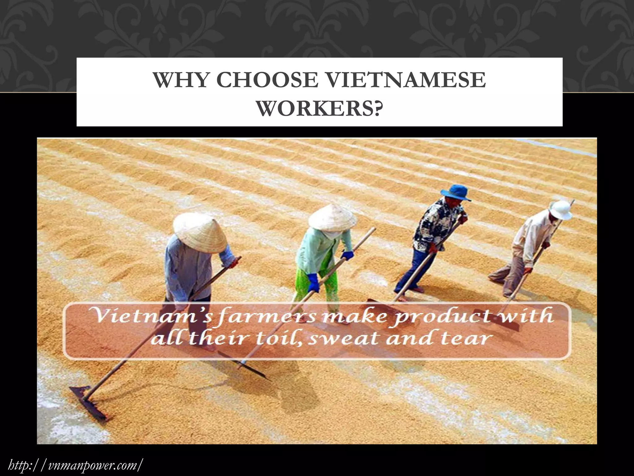 Vietnamese and vietnamese people's characteristics | PPT