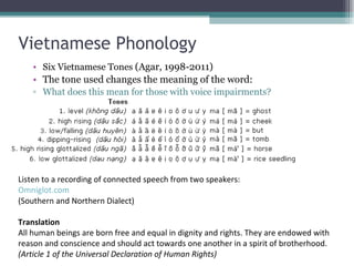 Vietnamese phonologicaldisorders kimberly jones | PPT | Physical ...