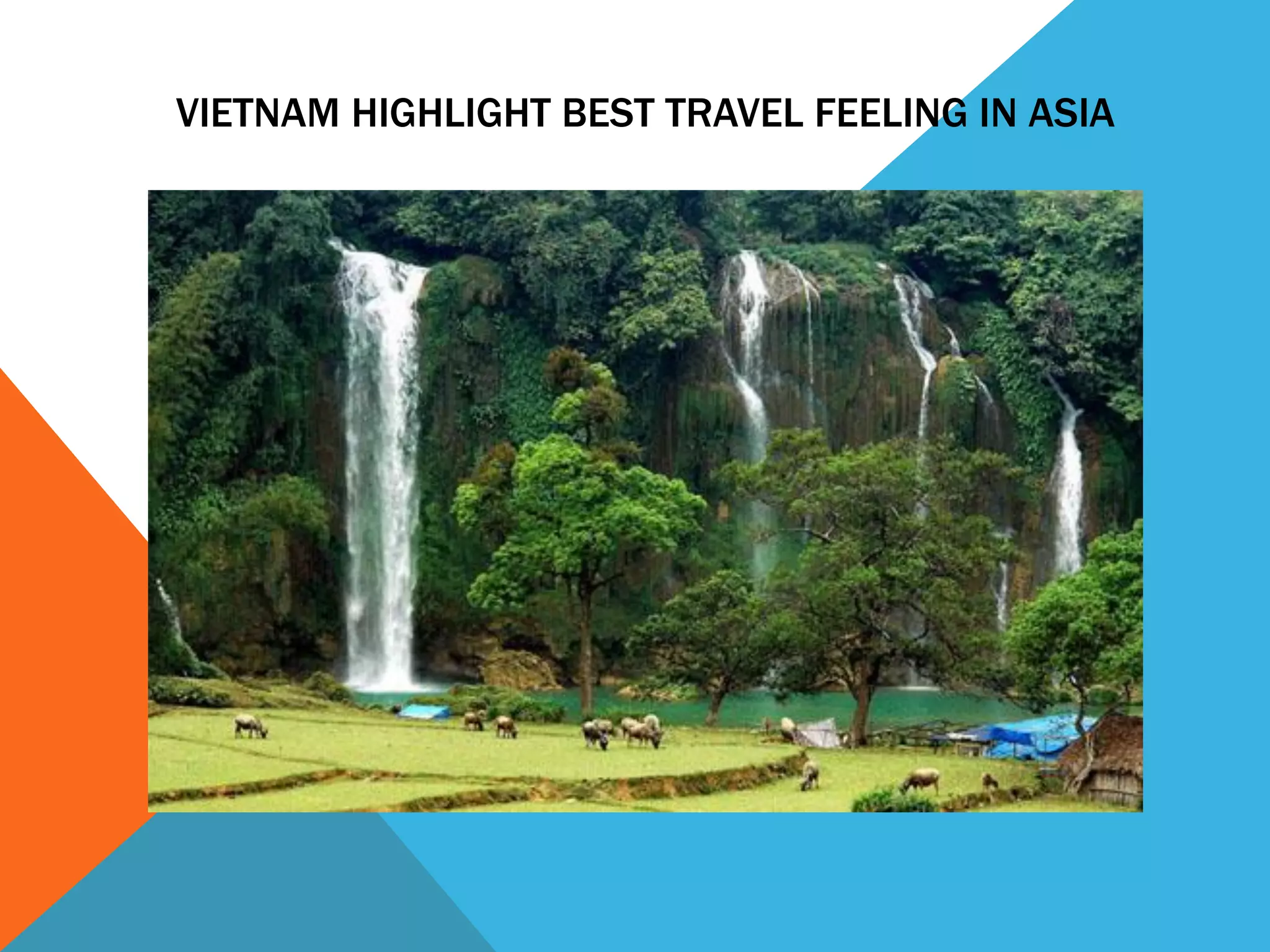 Vietnam highlight best travel feeling in Asia | PDF
