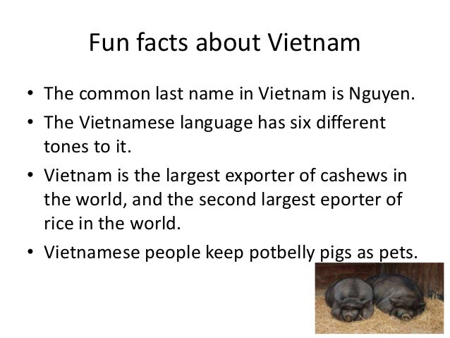 Vietnam slideshow