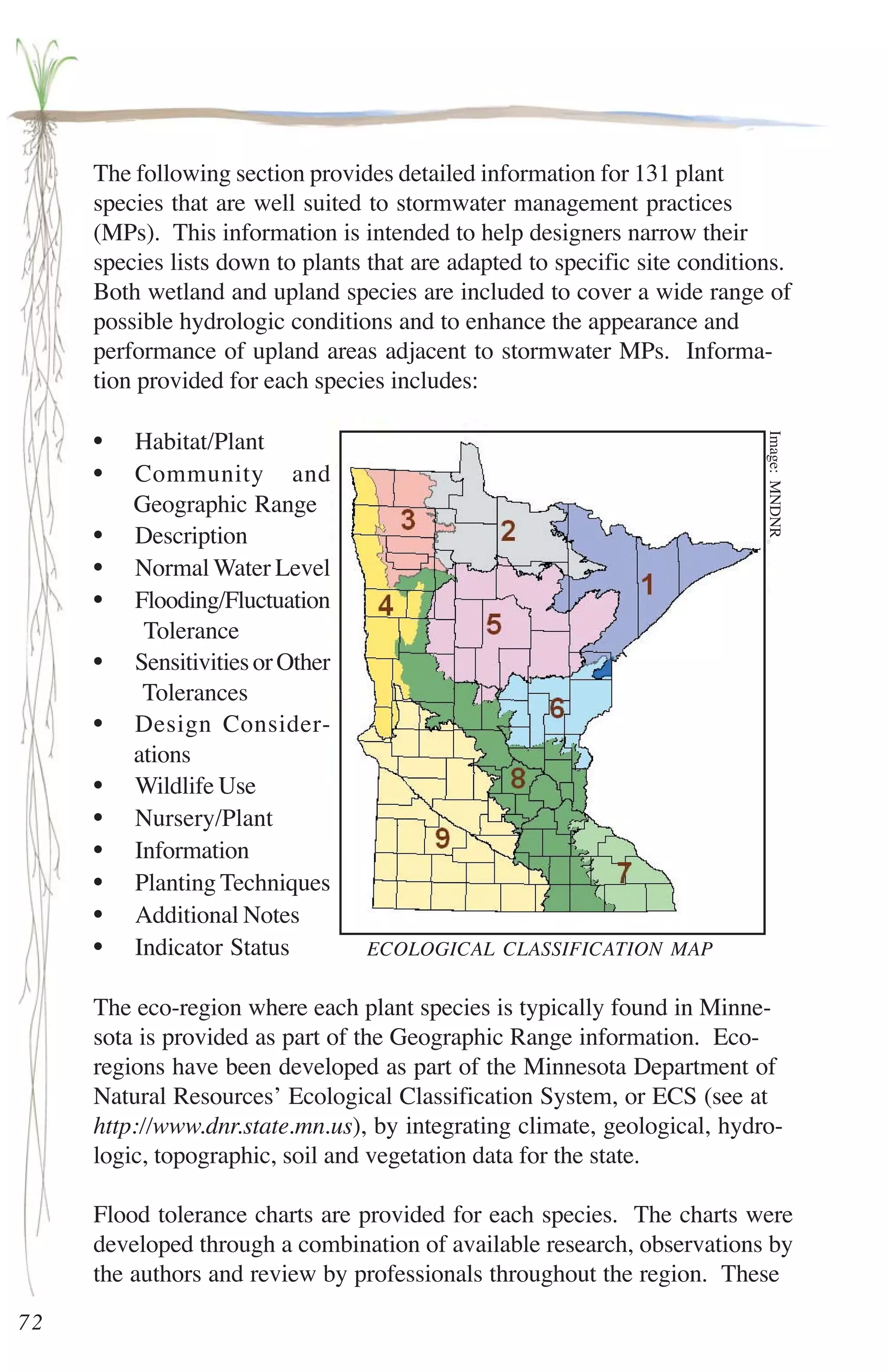 Minnesota: Plants for Stormwater Design - Part 2 | PDF