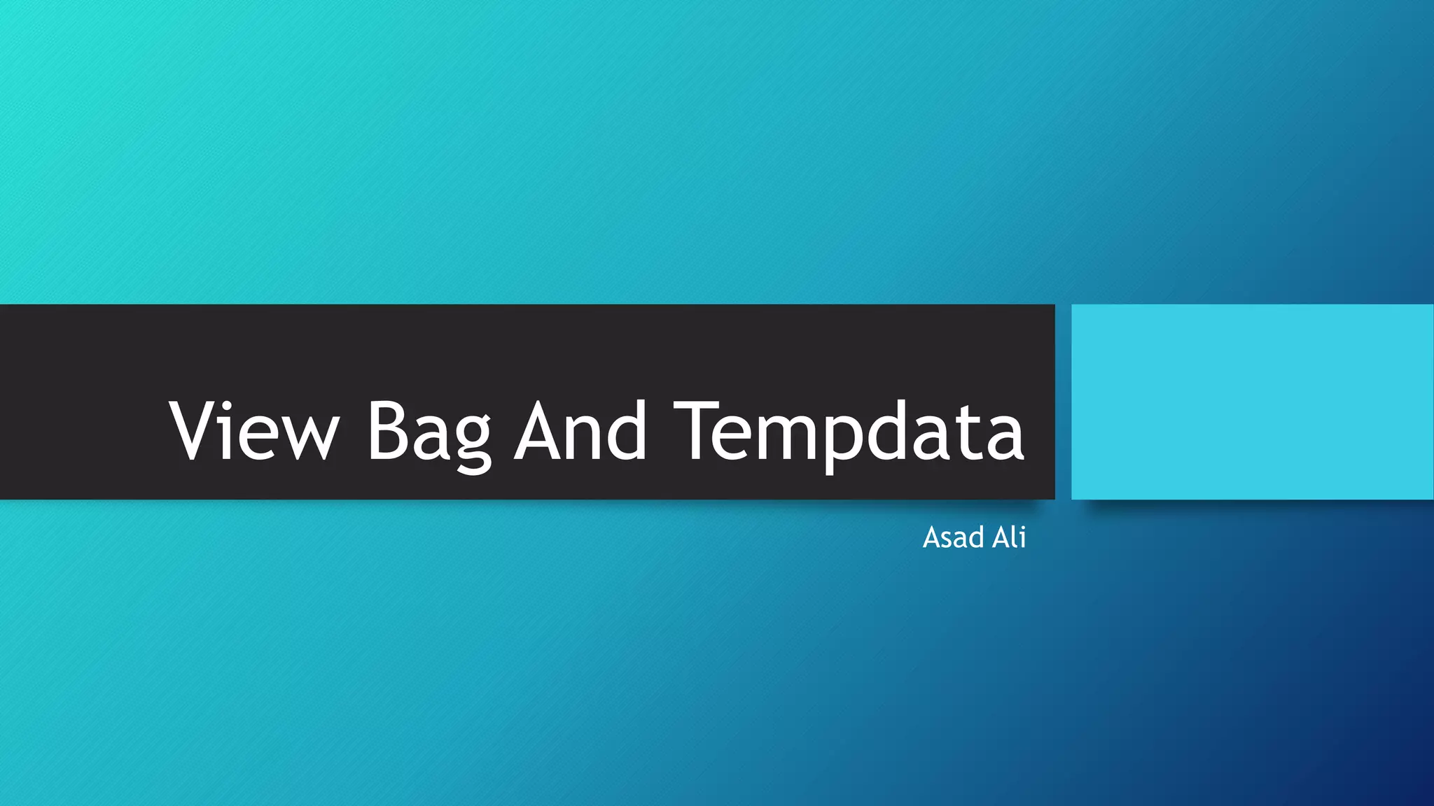 View Bag And Tempdata.pptx