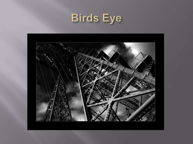 Viewpoint in photography | PPTX