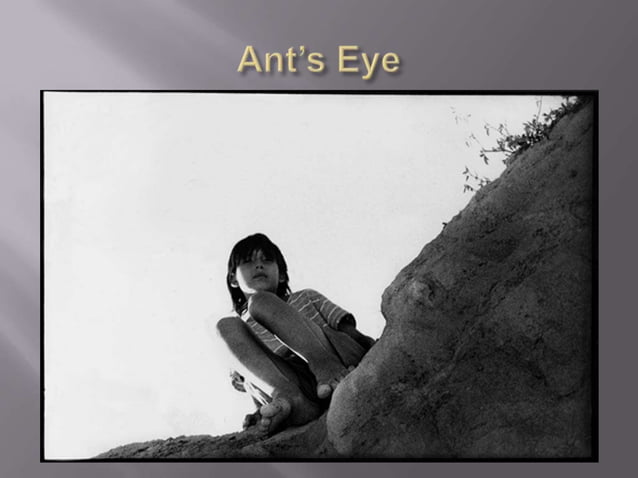 Viewpoint in photography | PPTX