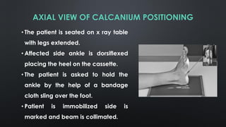 X-RAY views for foot, calcaneum, and ankle joint. | PDF