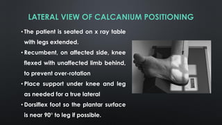 X-RAY views for foot, calcaneum, and ankle joint. | PDF