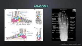 X-RAY views for foot, calcaneum, and ankle joint. | PDF