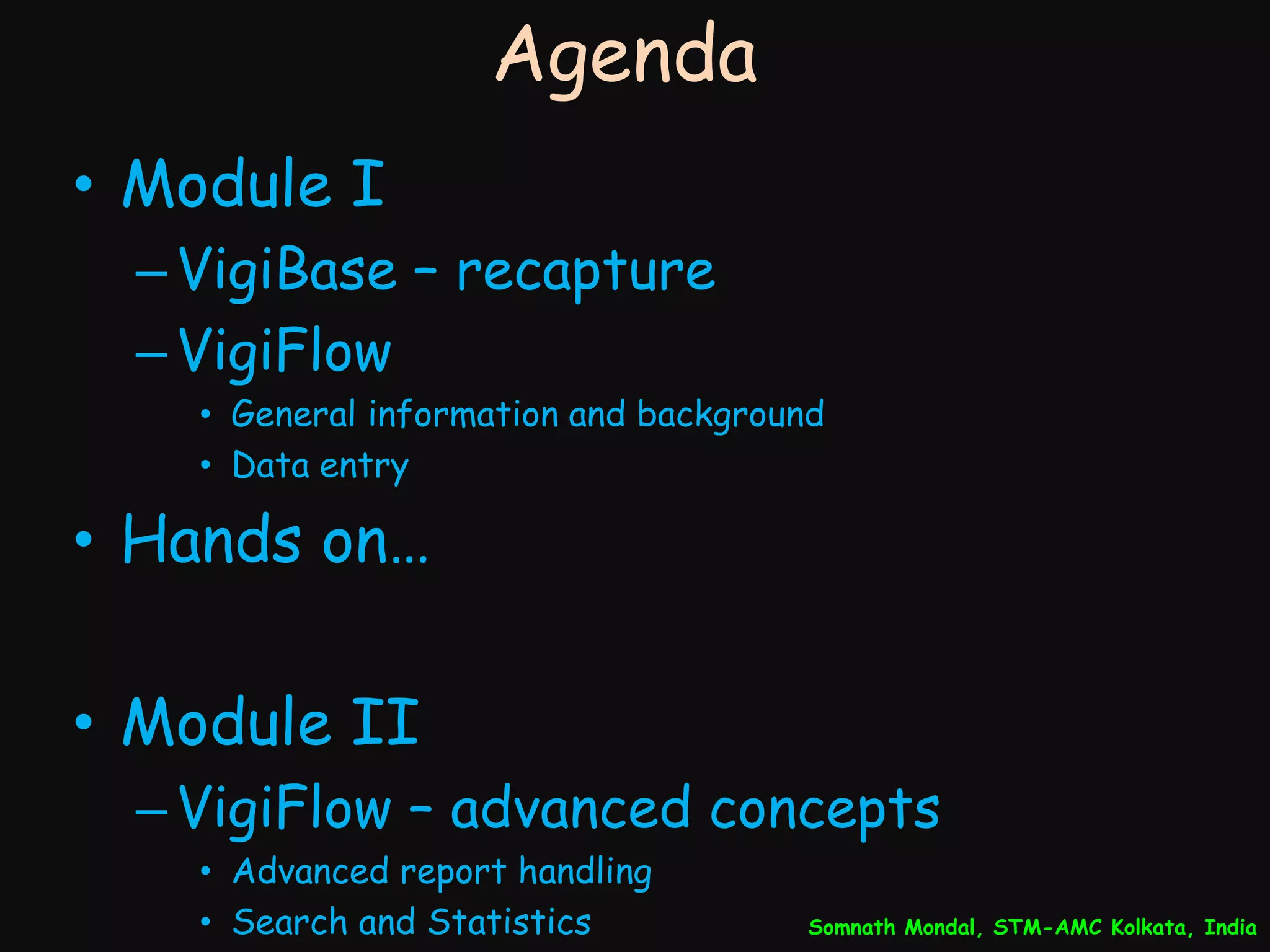 Vigi flow -_data_entry | PDF
