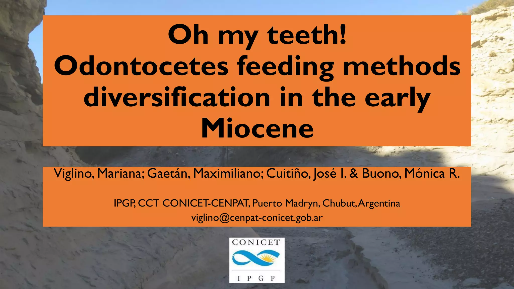 Oh my teeth! Odontocetes feeding methods diversification in the early ...