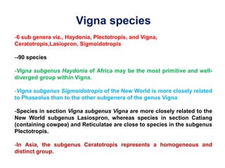 Evolution of Vigna species | PPT